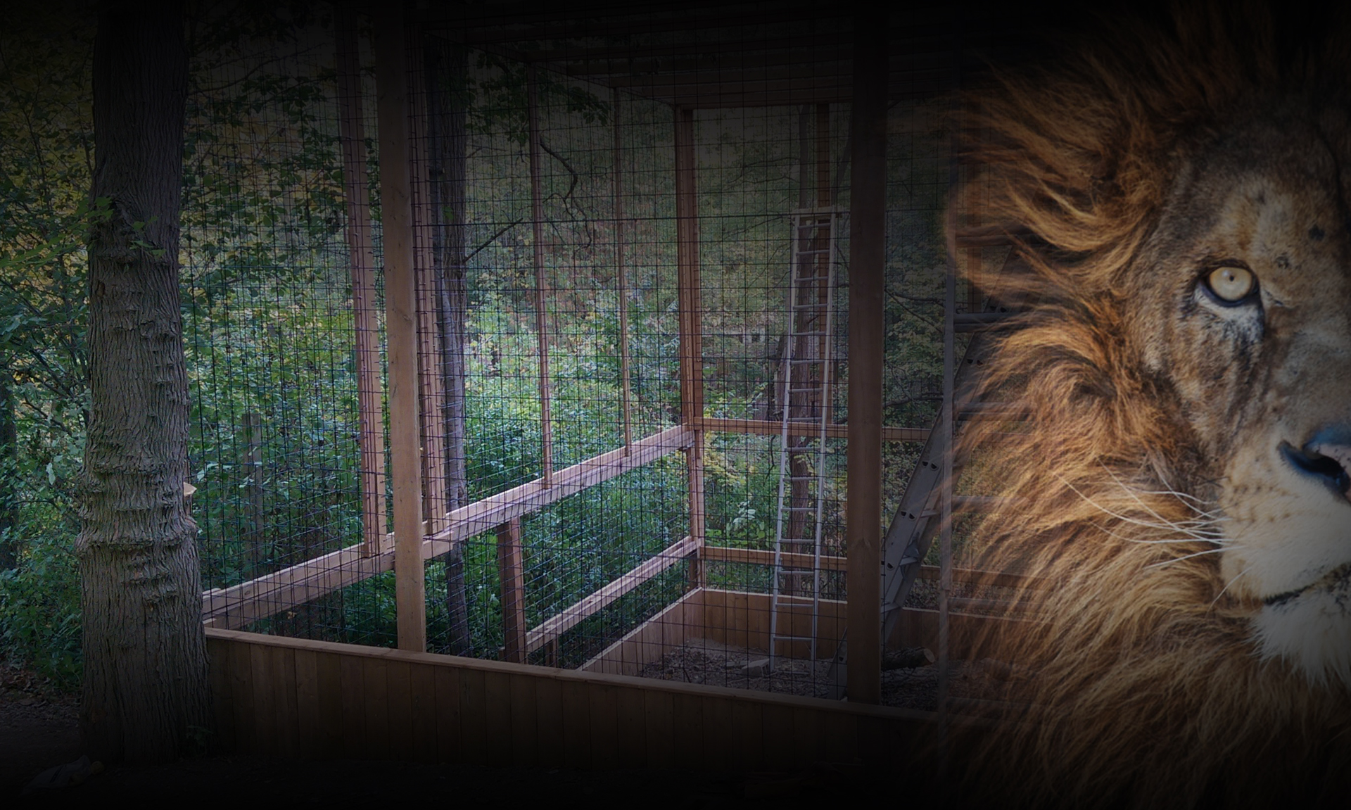 Killman Zoo | Killman Zoo | Visit Us Today, Meet all the Animals